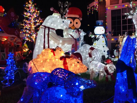 CHESTNUT CHRISTMAS LIT HOUSES - Updated December 2025 - 435 Photos & 70 ...