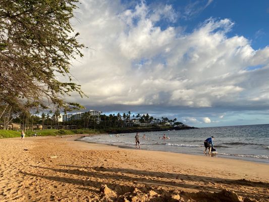 ULUA BEACH PARK - 201 Photos & 86 Reviews - Beaches - Halealii Pl ...