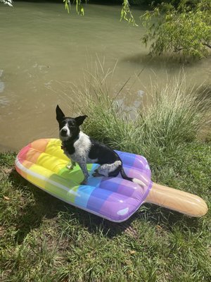 COMMONS FORD RANCH METROPOLITAN PARK - Updated May 2024 - 86 Photos ...