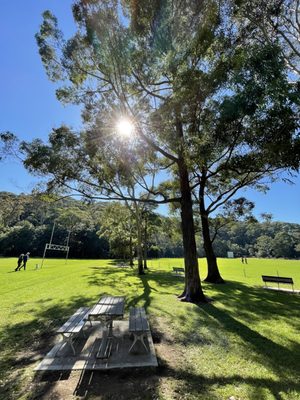 TUNKS PARK - Updated December 2025 - 18 Photos - Brothers Ave, Cammeray ...