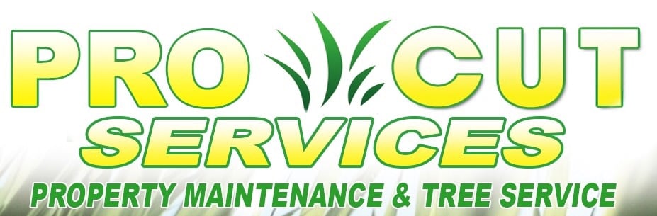 PRO CUT SERVICES - Updated April 2025 - Tampa, Florida - Tree Services ...