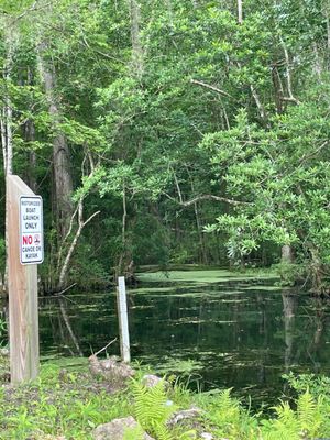 WACISSA RIVER CANOE AND KAYAK RENTAL - Updated December 2025 - 17 ...