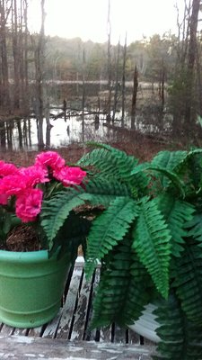 HAGGETTS POND - Updated December 2025 - 21 Photos - Haggett's Pond ...