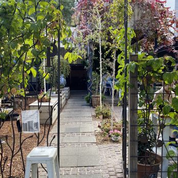 PETER RABBIT - Updated December 2025 - 90 Photos & 35 Reviews - 234-244 ...