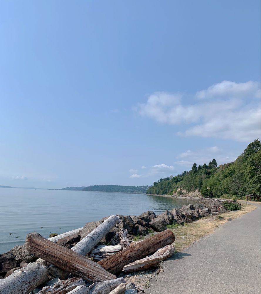 SALTWATER STATE PARK - 265 Photos & 77 Reviews - 25205 8th Pl S, Des ...