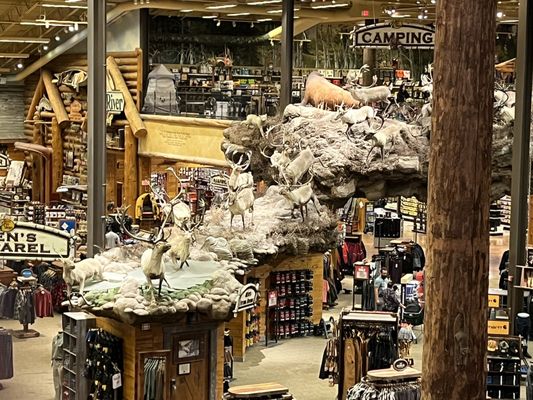 BASS PRO SHOP - Updated January 2026 - 44 Photos & 42 Reviews - 112 ...