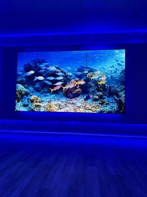 LIFEMED INSTITUTE - Updated January 2026 - 10 Reviews - 15 W Aylesbury ...