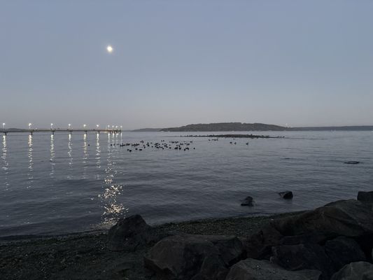 DES MOINES MARINA - Updated May 2026 - 227 Photos & 31 Reviews - 22307 ...
