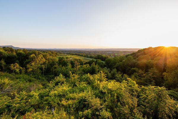 LONG VIEW CIDERHOUSE ORCHARD BAR - Updated May 2024 - 11 Photos - 36 ...