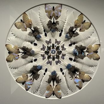 EXQUISITE CREATURES EXHIBIT - Updated December 2025 - 13 Photos - 900 Alaskan Way, Seattle ...