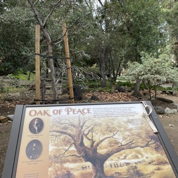 CATALINA VERDUGO ADOBE - Updated September 2025 - 63 Photos & 14 ...