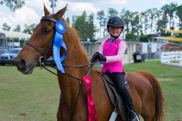 SUNCOAST STABLES AND RIDING ACADEMY - Updated August 2025 - 41 Photos ...