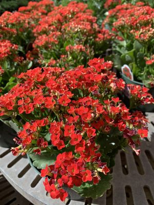 WALMART - Updated December 2025 - 380 Photos & 203 Reviews - 94-595 ...