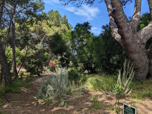 HOPKINS WILDERNESS PARK - Updated January 2026 - 262 Photos & 104 ...