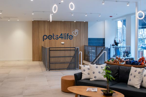 PETS4LIFE - Updated December 2025 - 17 Photos - 661 Central Ave, Highland Park, Illinois ...