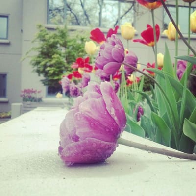 WATCHTOWER EDUCATIONAL CENTER - Updated January 2026 - 12 Photos - 100 ...