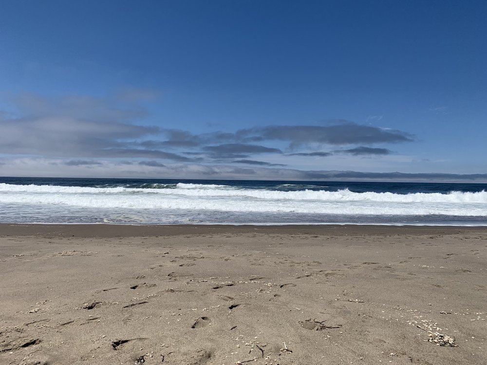 POINT REYES BEACH NORTH - Updated July 2025 - 51 Photos - Point Reyes ...