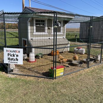 PICK’N PATCH - Updated December 2025 - 45 Photos & 10 Reviews - 2205 ...