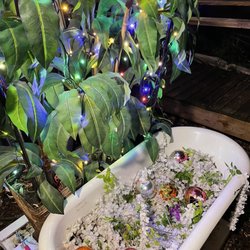 Best Museums Near Me - November 2025: Find Nearby Museums Reviews - Yelp