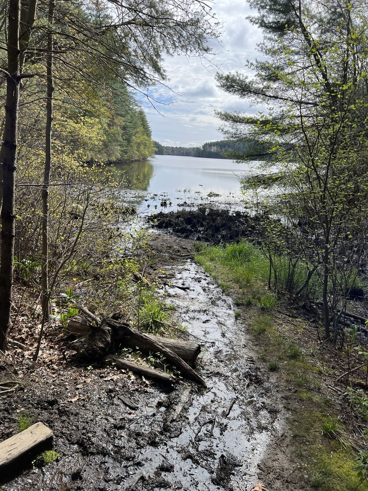 MASSASOIT STATE PARK - Updated December 2025 - 38 Photos & 22 Reviews ...