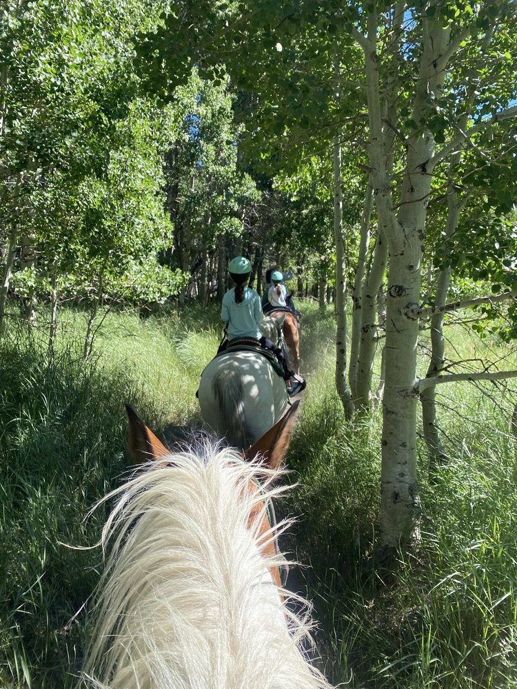 FRONTIER PACK TRAIN - Updated December 2025 - 20 Photos & 23 Reviews ...