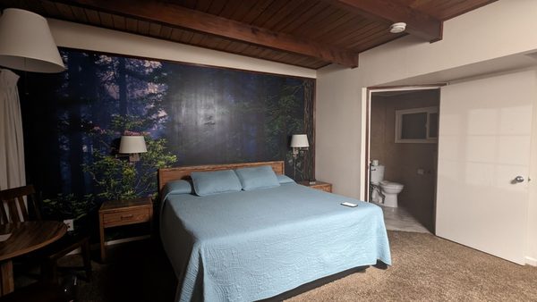 MOTEL TREES - Updated August 2025 - 57 Photos & 72 Reviews - 15495 Hwy ...