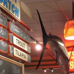 SHELLS OF MELBOURNE - Updated January 2026 - 213 Photos & 239 Reviews ...