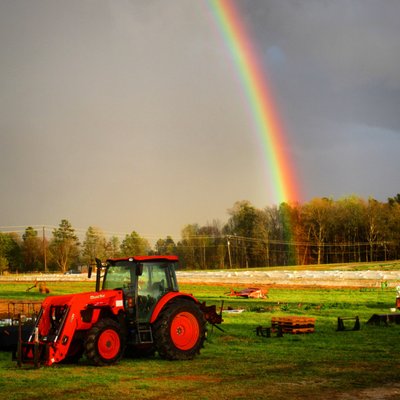 MCADAMS FARM - Updated April 2025 - 37 Photos & 10 Reviews - 1100 N ...