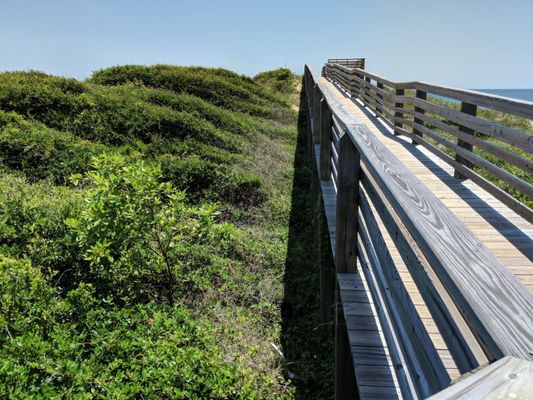 SALTER PATH BEACH ACCESS - Updated December 2025 - 58 Photos - 1025 ...