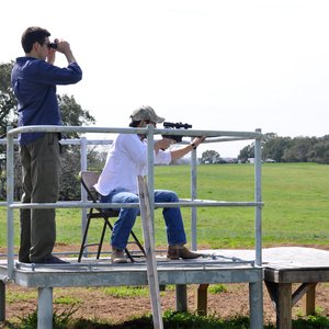 CHAMPION FIREARMS CORP - Updated September 2025 - 41 Reviews - 1925 ...