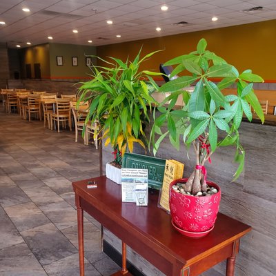 RICE FUN RESTAURANT - Updated December 2025 - 44 Photos & 30 Reviews ...