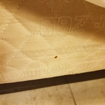 APACHE LAKE RESORT - Updated April 2024 - 70 Photos & 40 Reviews - 2295 ...