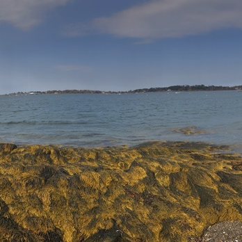 POTT’S POINT PRESERVE - Updated December 2025 - 29 Photos - Potts Point ...