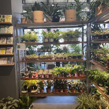 SPROUT HOME - Updated October 2025 - 206 Photos & 230 Reviews - 745 N ...