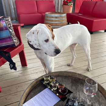 CARDINAL POINT VINEYARD & WINERY - Updated December 2025 - 79 Photos ...