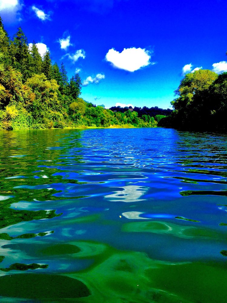 Wohler Bridge, Forestville | Roadtrippers