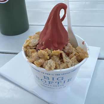 BIG SOFTIE - Updated May 2024 - 292 Photos & 200 Reviews - 66 Georgia ...