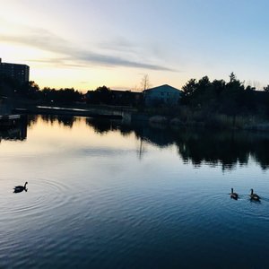 SOUTH SHELL PARK - Updated August 2024 - 3376 Lakeshore Rd W, Oakville ...