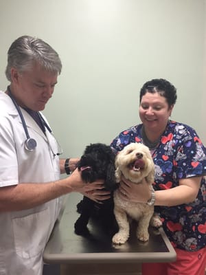 STEVENS ANIMAL HOSPITAL - Updated October 2025 - 31 Photos & 63 Reviews ...