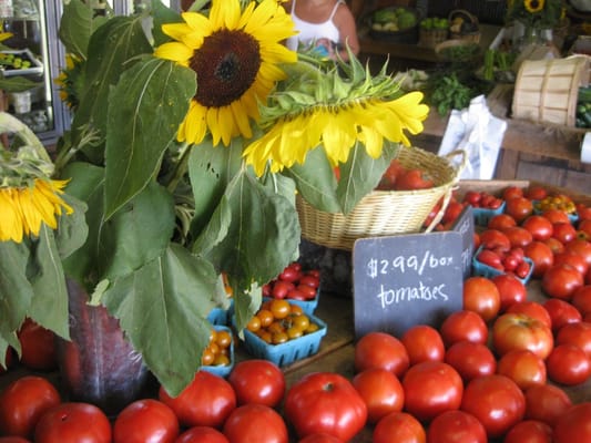 TENDERCROP FARM - Updated December 2025 - 10 Photos & 35 Reviews - 93 ...