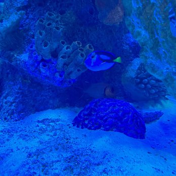 THE COWFISH SUSHI BURGER BAR - Updated June 2024 - 2375 Photos & 1984 ...