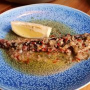 SCALES & SHELLS - 232 Photos & 351 Reviews - 527 Thames St, Newport ...