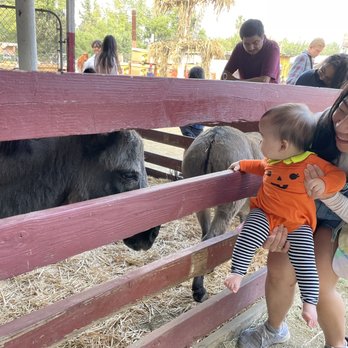 TAPIA BROS FARM - Updated October 2024 - 601 Photos & 275 Reviews ...