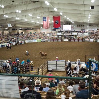 WILLIAMSON COUNTY AGRICULTURAL EXPO - Updated June 2025 - 55 Photos ...