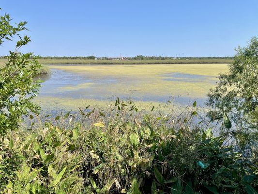 EL FRANCO LEE PARK - Updated January 2026 - 61 Photos & 13 Reviews ...