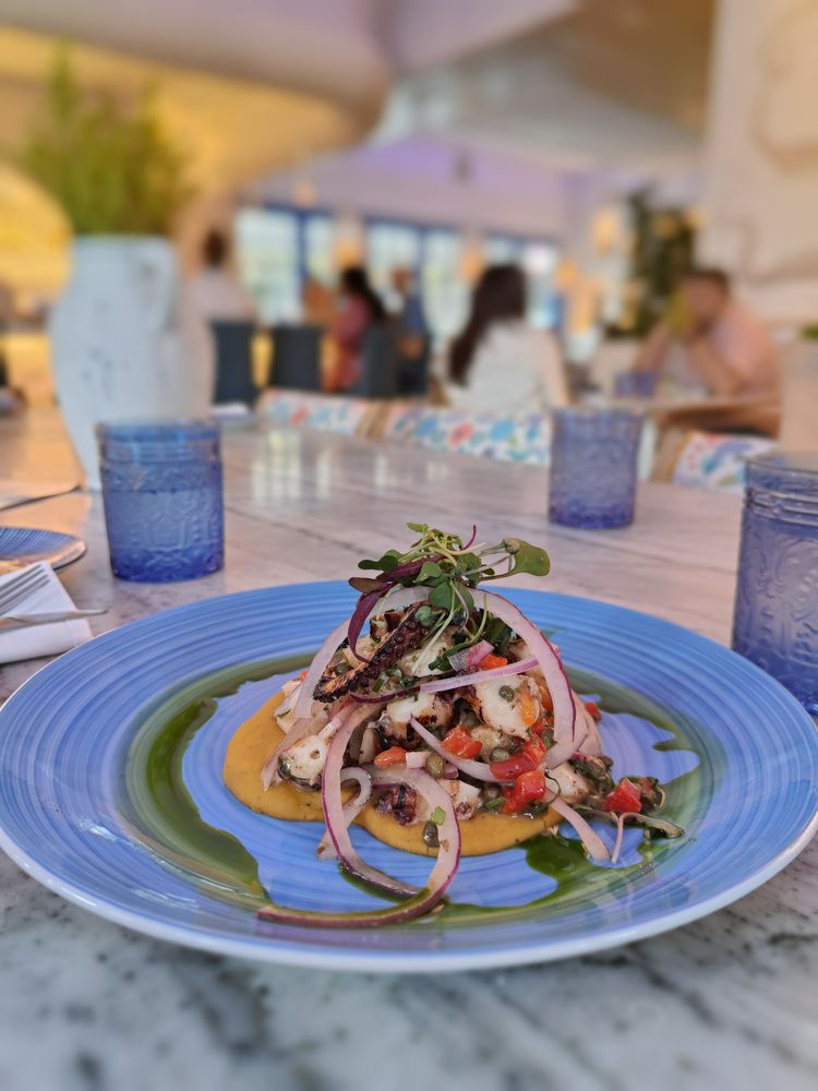 YAMAS GREEK KITCHEN + BAR - Updated April 2024 - 385 Photos & 172 ...