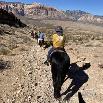 COWBOY TRAIL RIDES - Updated May 2024 - 52 Photos & 14 Reviews - 800 N ...