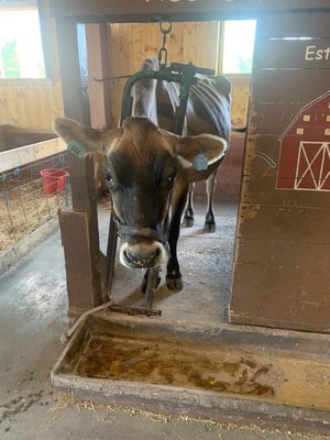 REAL LIFE DAYCAMP AND FARM - Updated September 2025 - 23 Photos & 19 ...