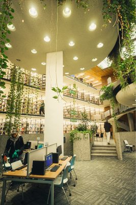 DOWNTOWN RENO LIBRARY - Updated October 2025 - 86 Photos & 39 Reviews ...