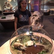 WESTERN SCIENCE CENTER - 218 Photos & 57 Reviews - 2345 Searl Pkwy ...